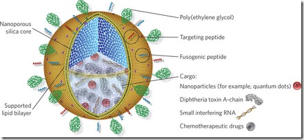 Mejorando el transporte de fármacos a través del uso de protocélulas ...